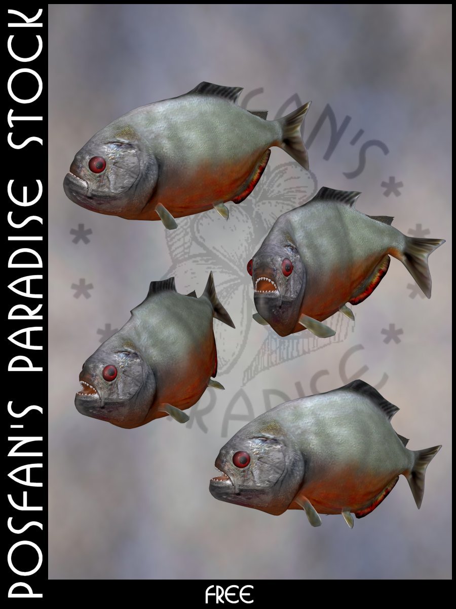 Animals 054 Piranha by poserfan-stock on DeviantArt