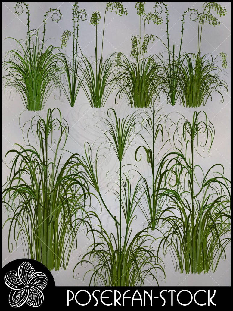 Fairy Grass 002 by poserfan-stock on DeviantArt