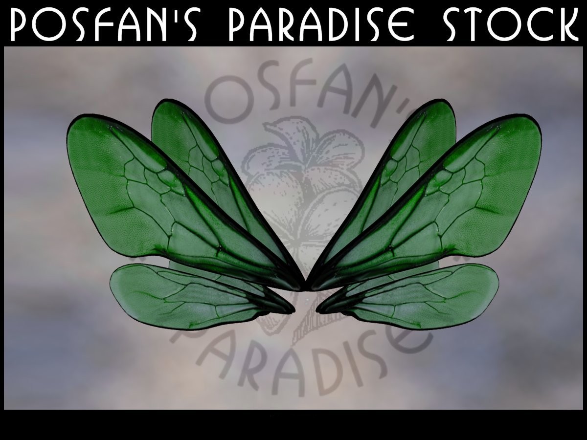 Bug Wings 003 by poserfan-stock on DeviantArt