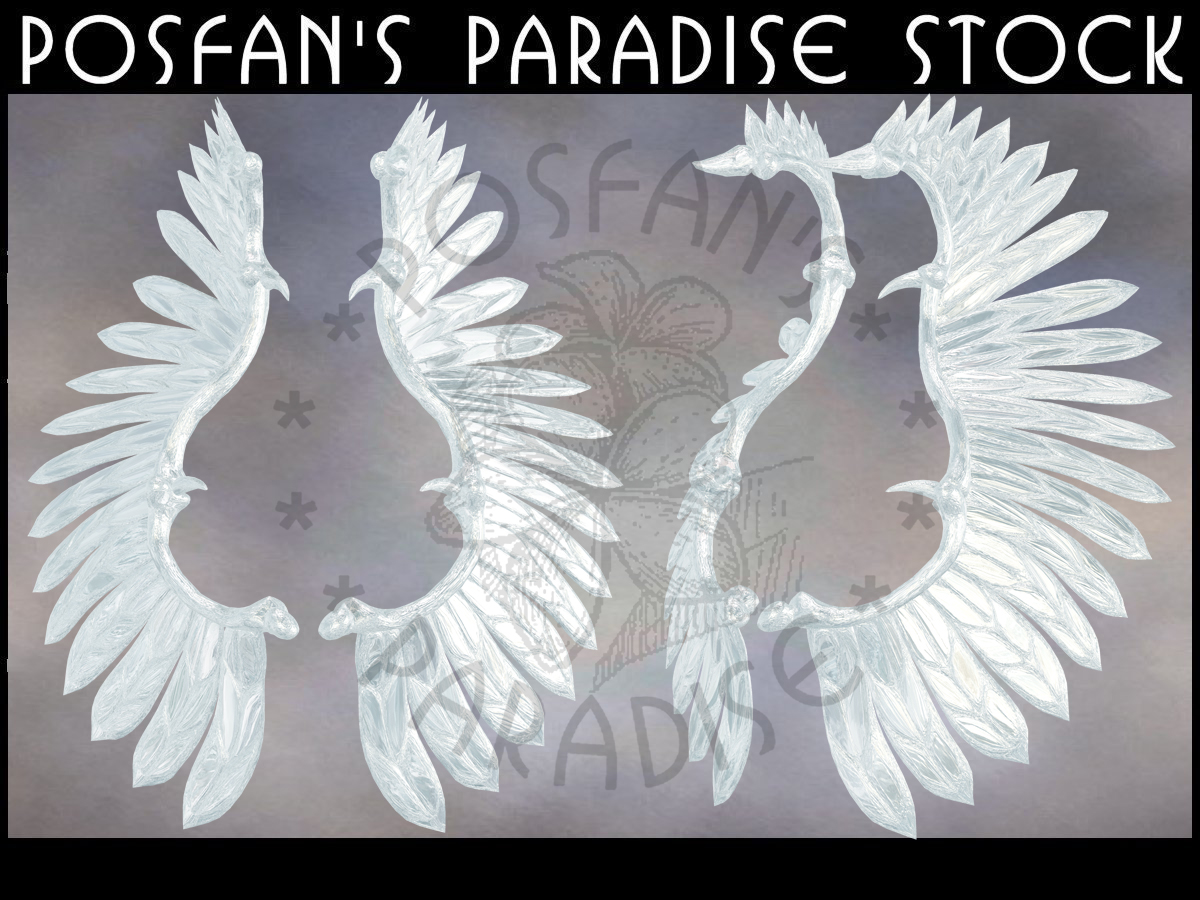 PC 020 - Winter Ice Wings by poserfan-stock on DeviantArt