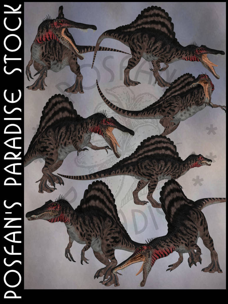 Spinosaurus 001 by poserfan-stock on DeviantArt
