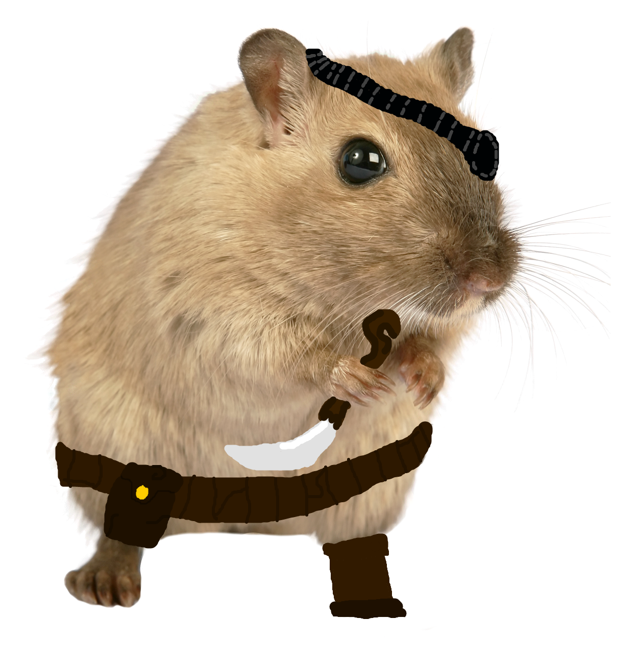 pirate mouse by PizzaSliceGuy on DeviantArt