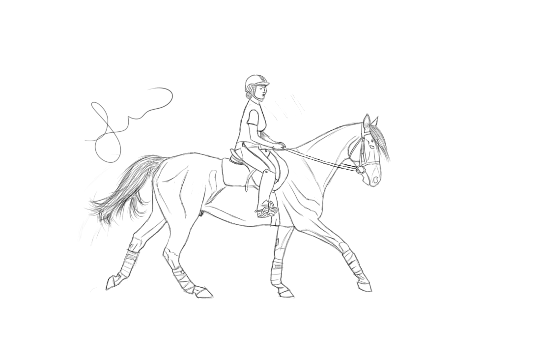 Cantering Horse Outline Related