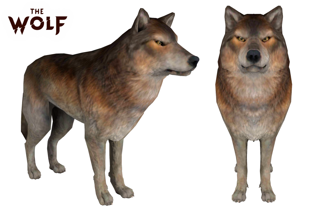 The Wolf: Mexican Wolf by Maxdemon6 on DeviantArt