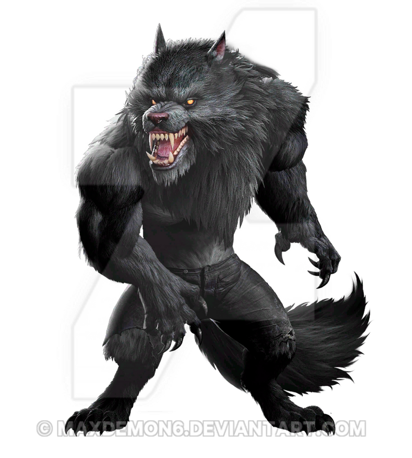 Steve (Wolf) by Maxdemon6 on DeviantArt
