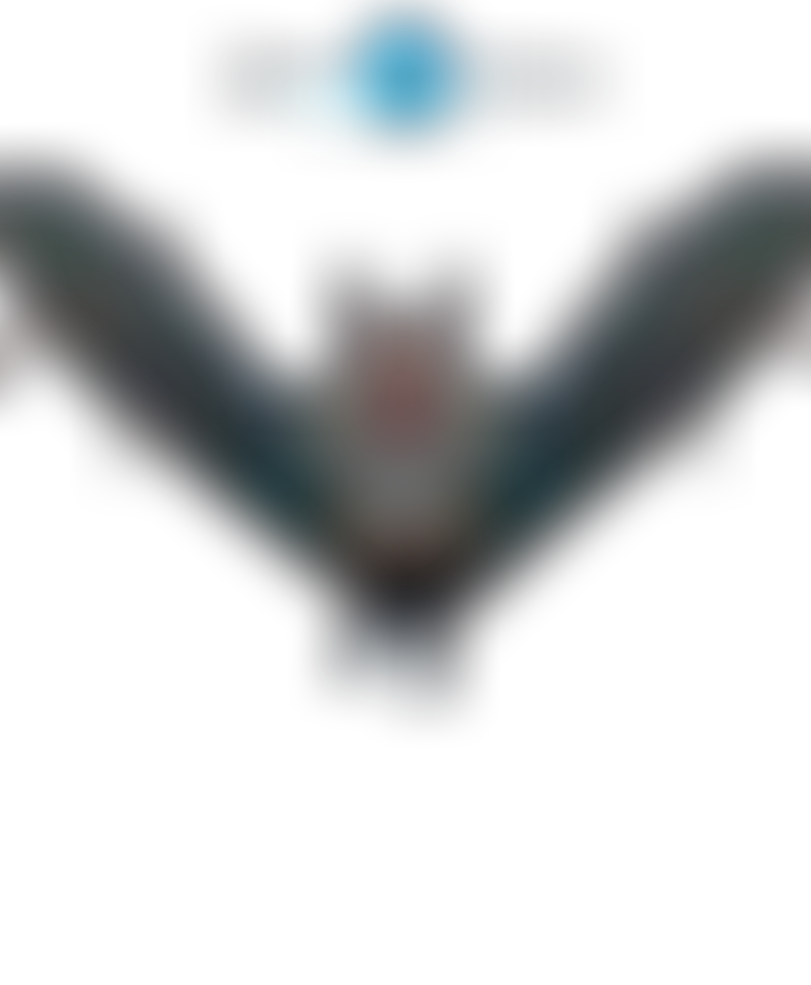 Vampire Bat by Maxdemon6 on DeviantArt