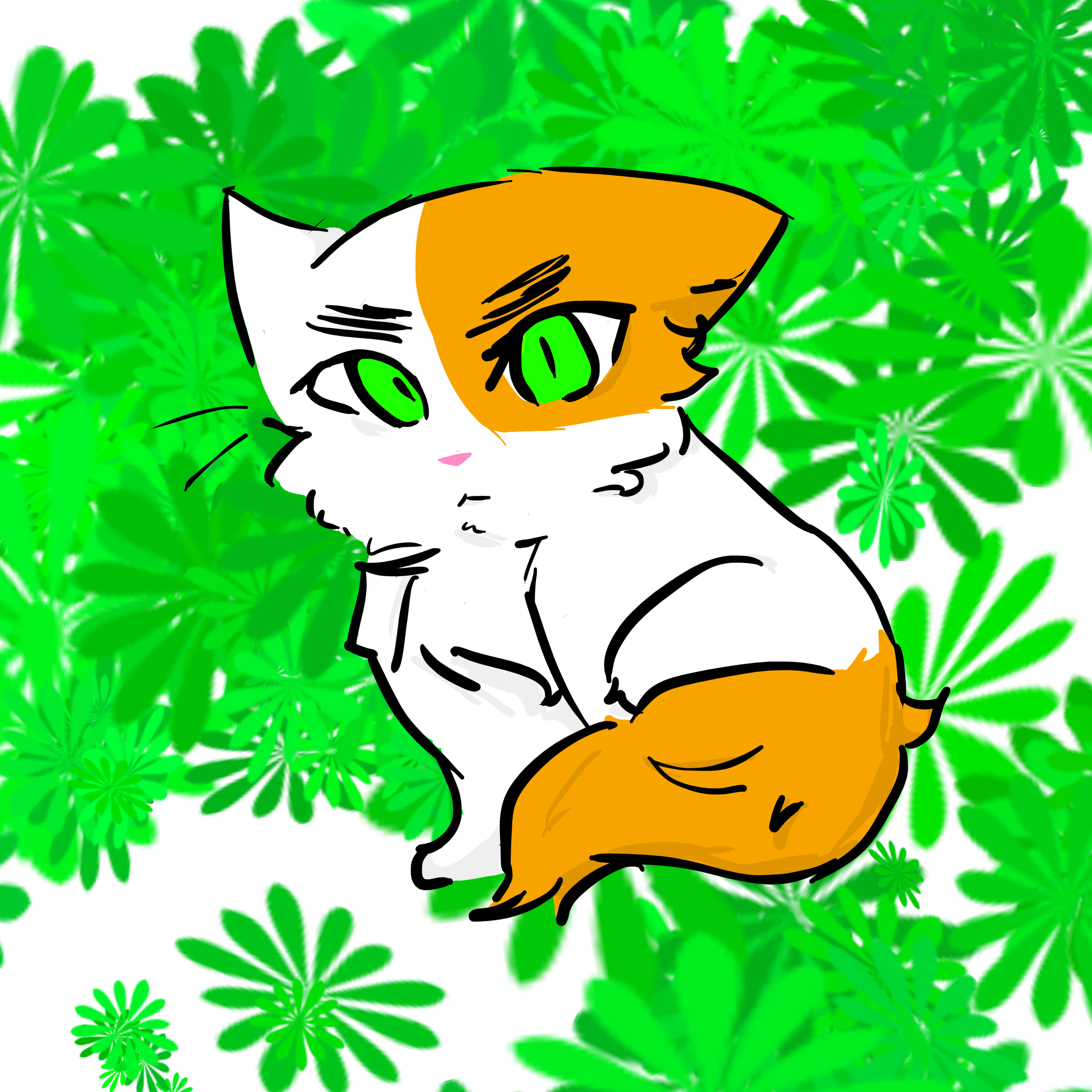 Iggy kitty! by Ameratalian on DeviantArt