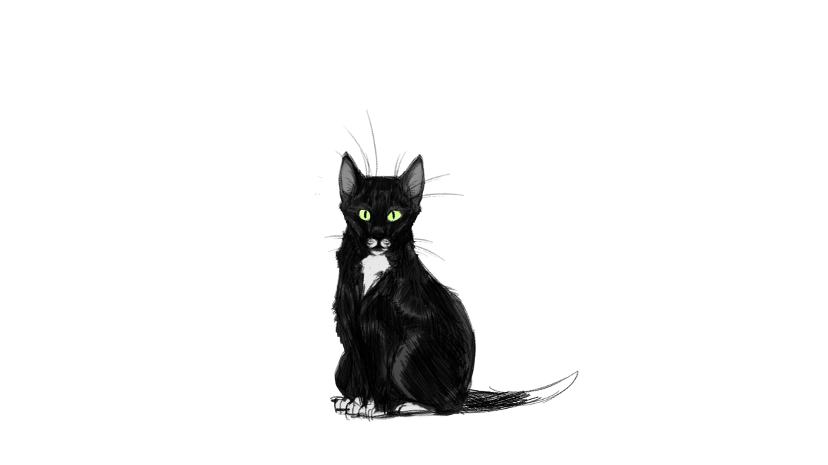 High school choice reaction by WindBirds on DeviantArt