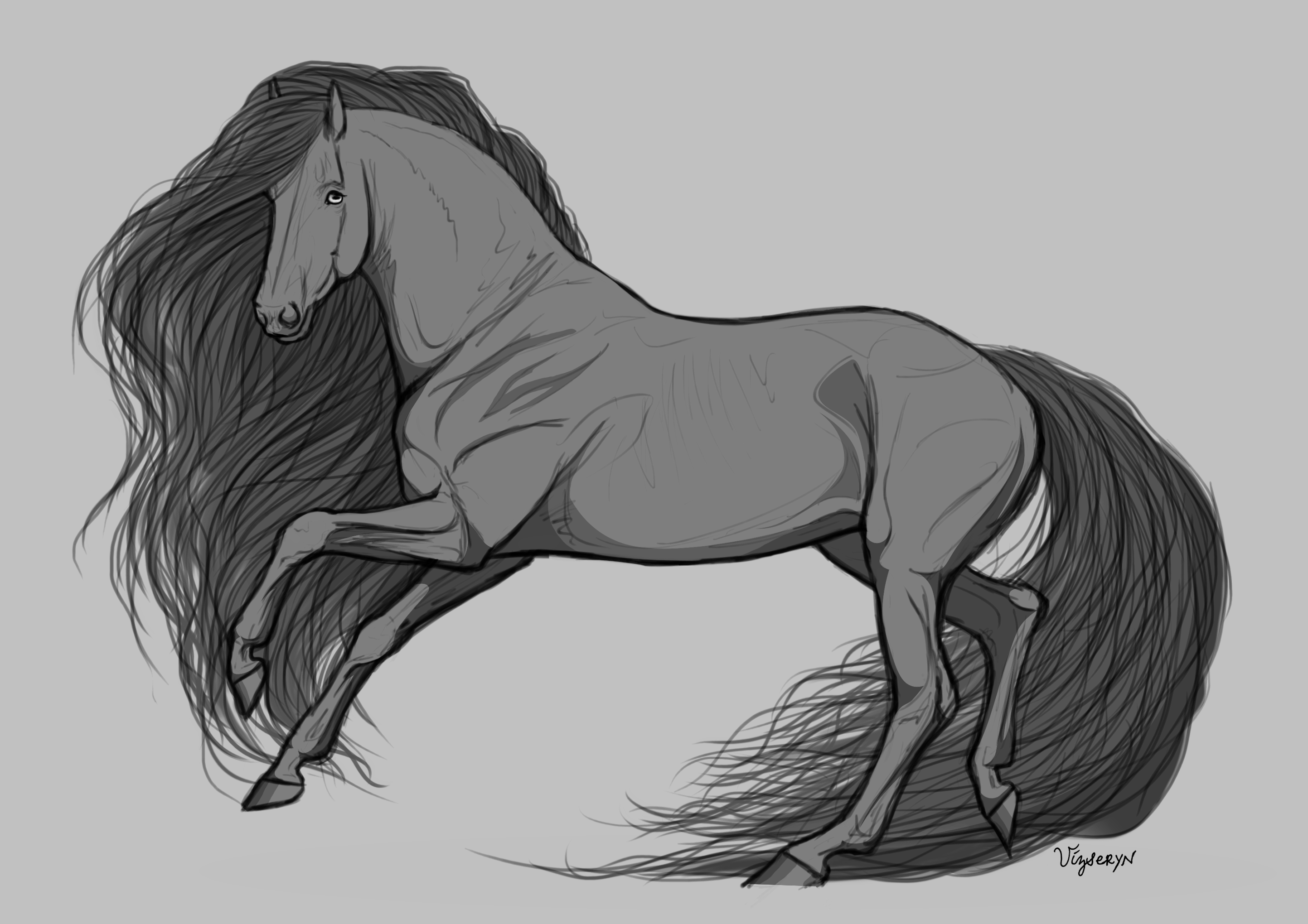Oriental Horse Greyscale by Vizseryn on DeviantArt