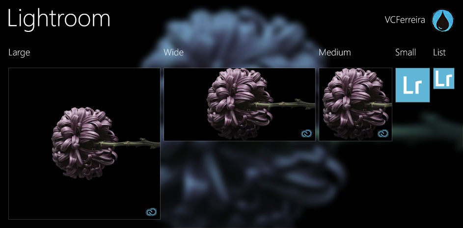 Lightroom CC 2015.6 tiles for TileCreator by VCFerreira on DeviantArt