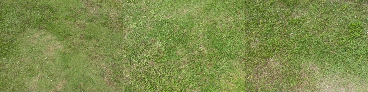 Grass Textures by JCP-JohnCarlo on DeviantArt