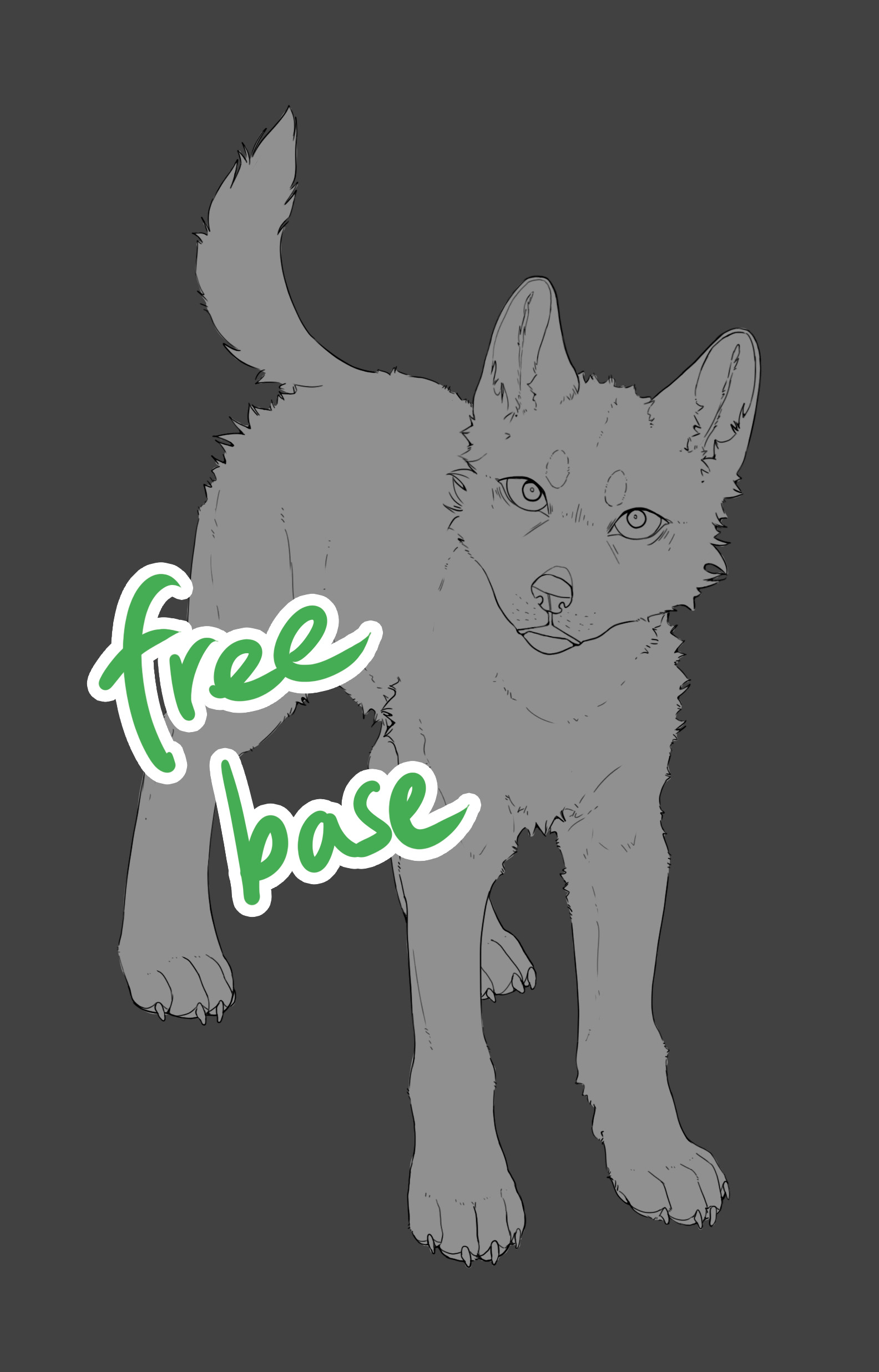 free wolf cub / puppy base by quotya on DeviantArt