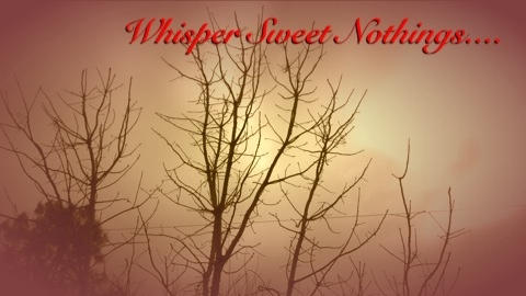Whisper Sweet Nothings.... by AutumnForAlways on DeviantArt