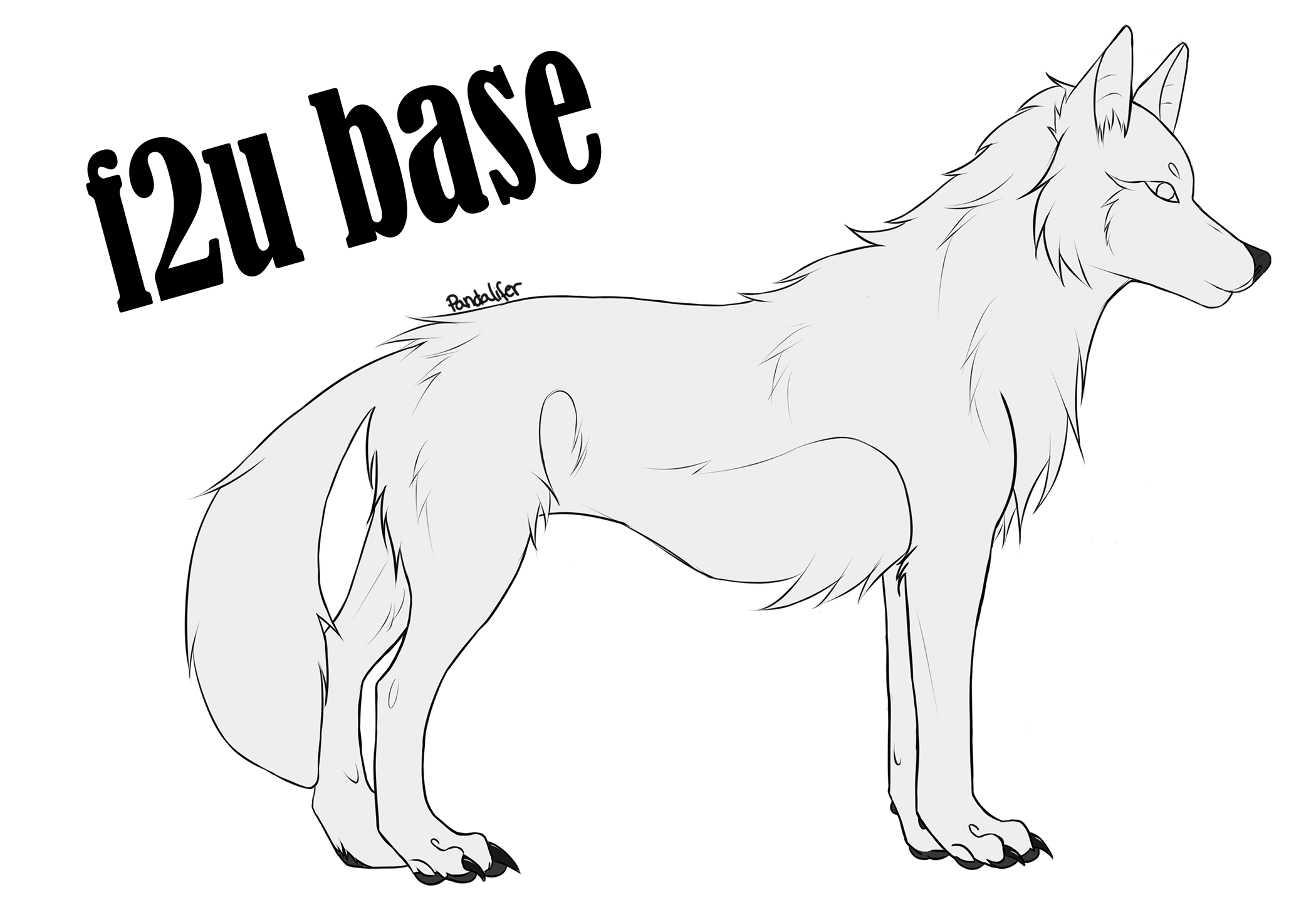 Free Canine Base! by Pandalifer on DeviantArt