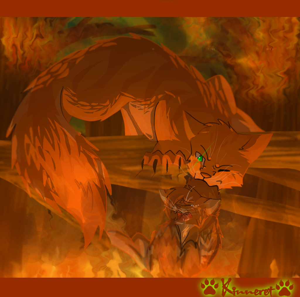 Fireheart and Bramblekit by minhkhue3 on DeviantArt