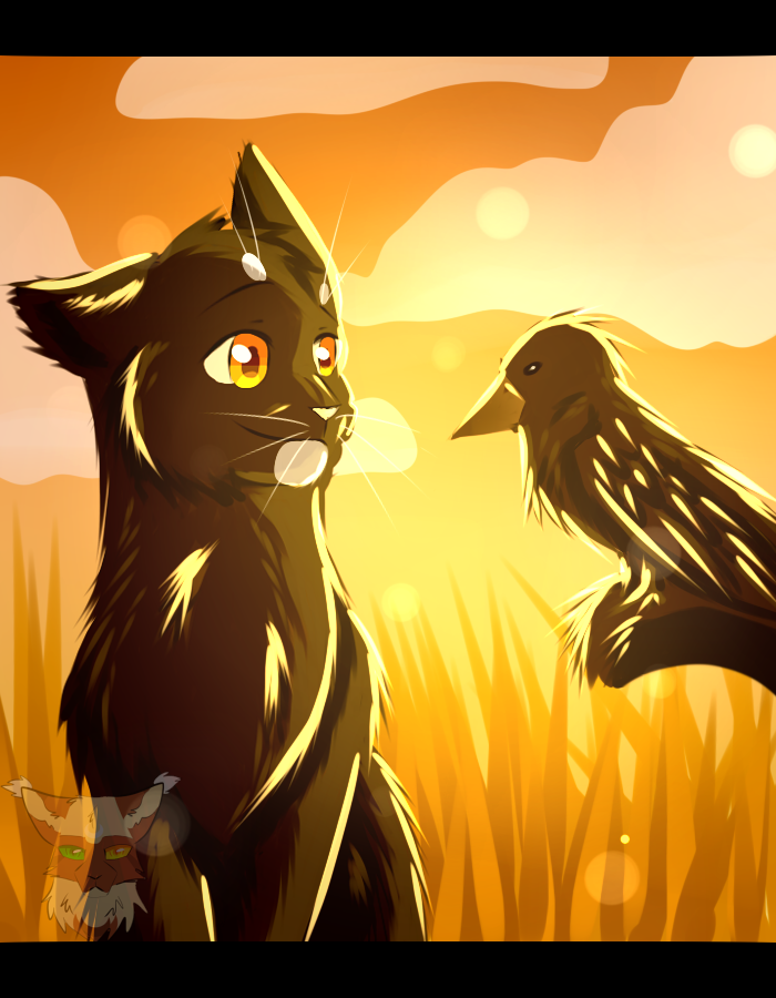 ravenpaw with raven by minhkhue3 on DeviantArt