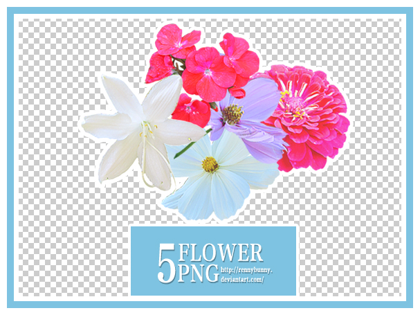 [PNG Pack] 5 Flower PNG by RennyBunny on DeviantArt