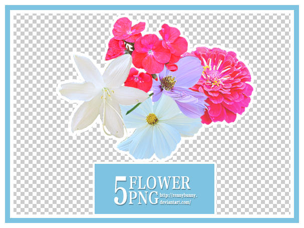 [PNG Pack] 5 Flower PNG by RennyBunny on DeviantArt
