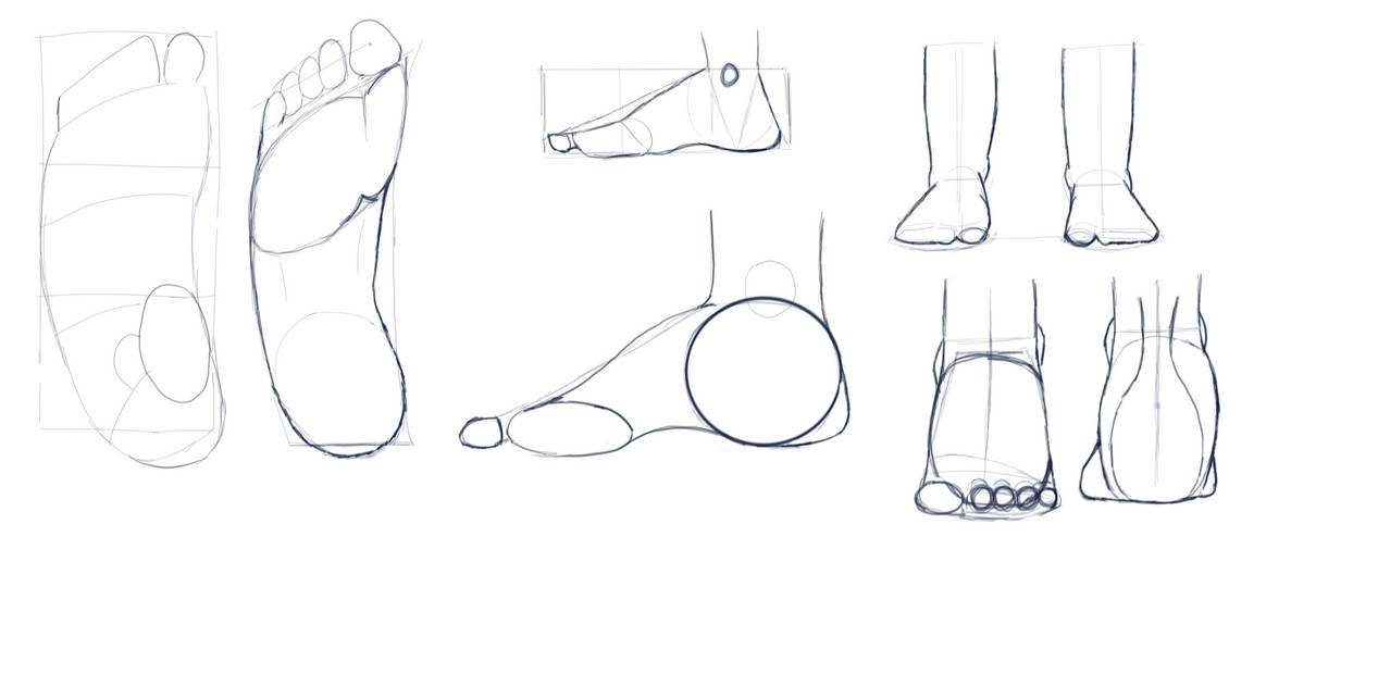 Mapping Feet Front and Sole by ZotoZotico on DeviantArt