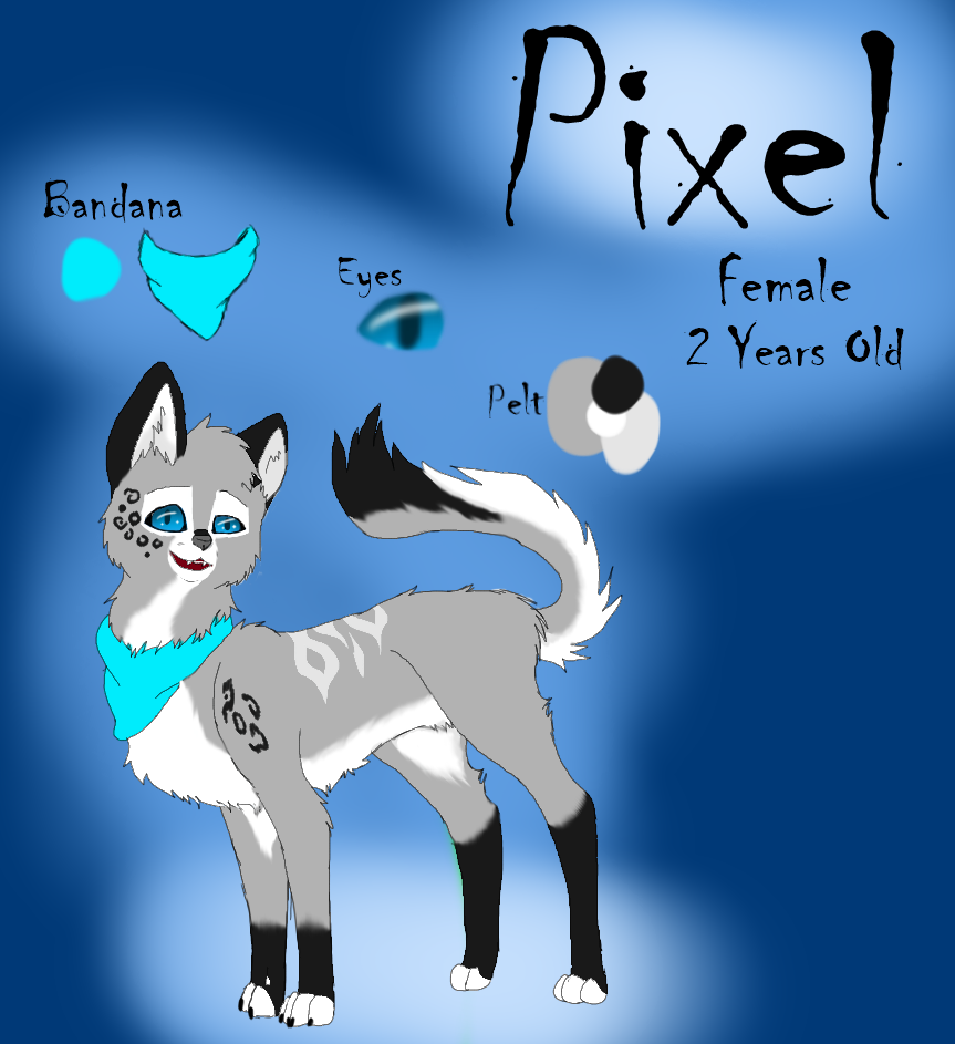 Pixel, Ref Sheet by babybiiscuiit on DeviantArt