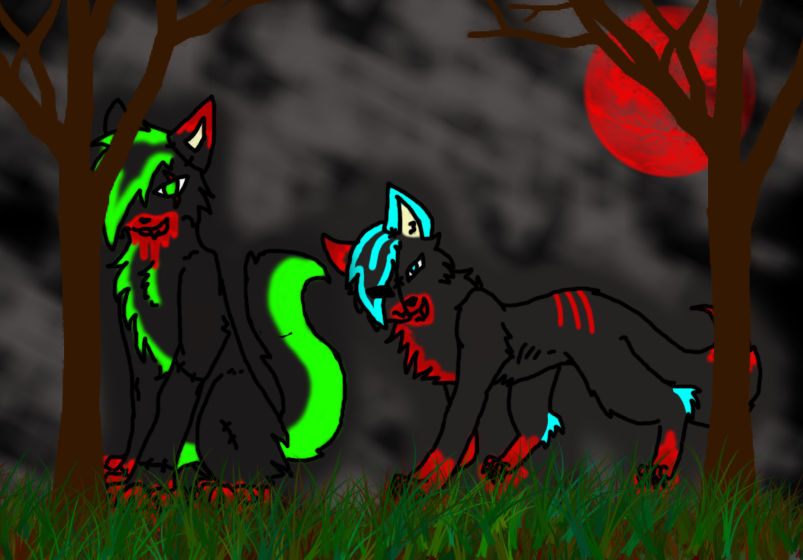 evil twin cats by wolf31521 on DeviantArt