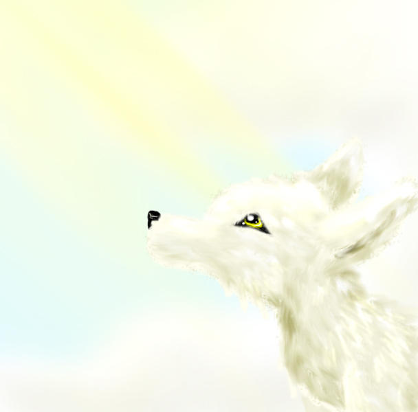 Bright Sky Wolf by Koonihc on DeviantArt