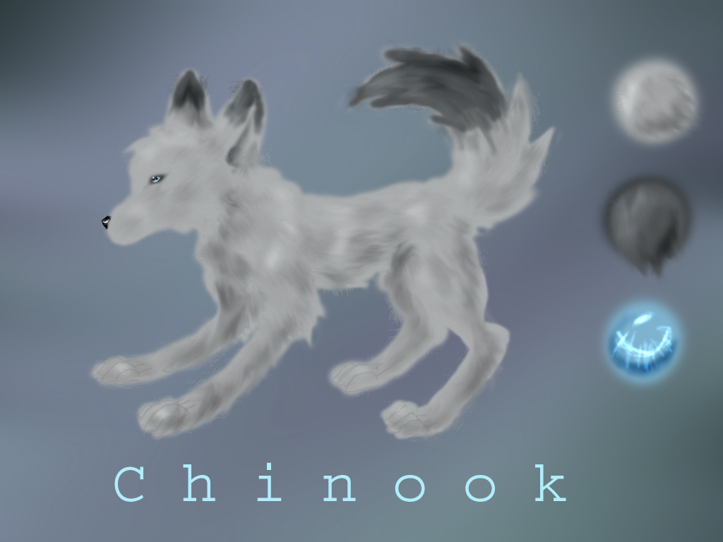 Character sheet - Chinook by Koonihc on DeviantArt