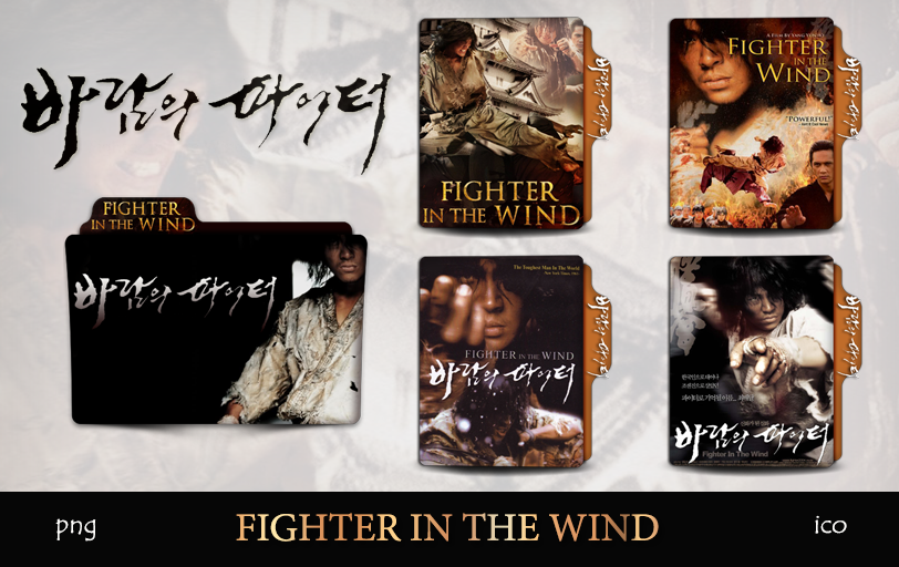 Fighter in the Wind (2004) Folder Icon by mimisyafiqah on DeviantArt