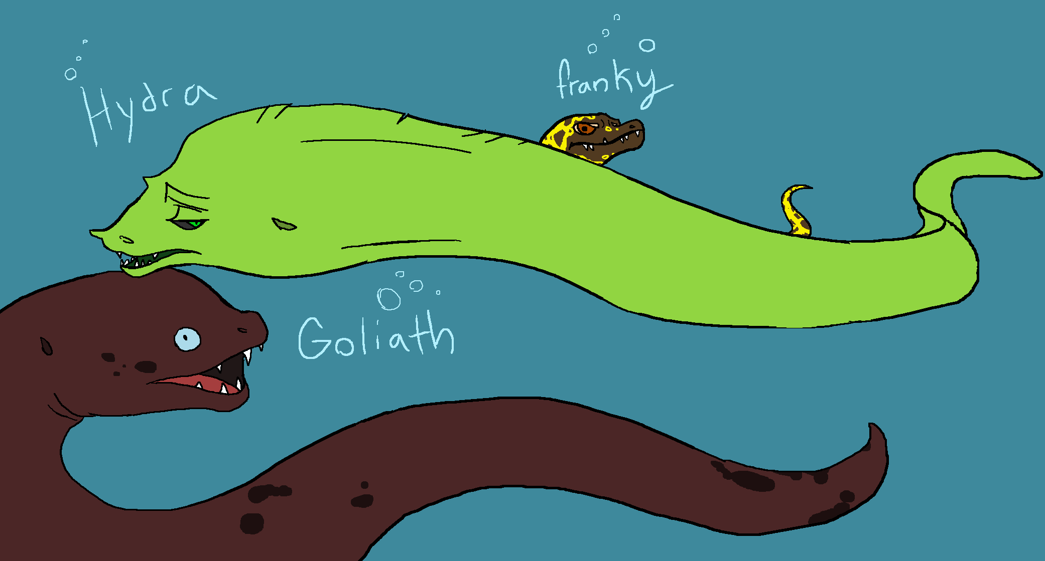 Finding Nemo OCs by fairytalekitty on DeviantArt