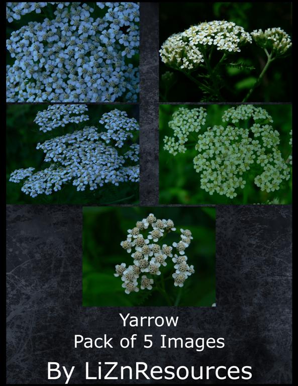 Yarrow Pack by LiZnReSources on DeviantArt