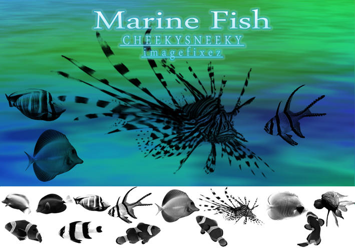 Marine Fish Brush Set by cheekysneeky on DeviantArt