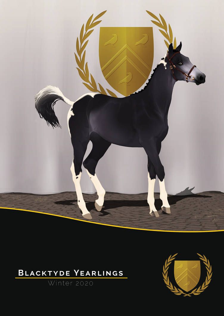 Blacktyde Yearling Sales 2020 - Now Live by Infersea on DeviantArt