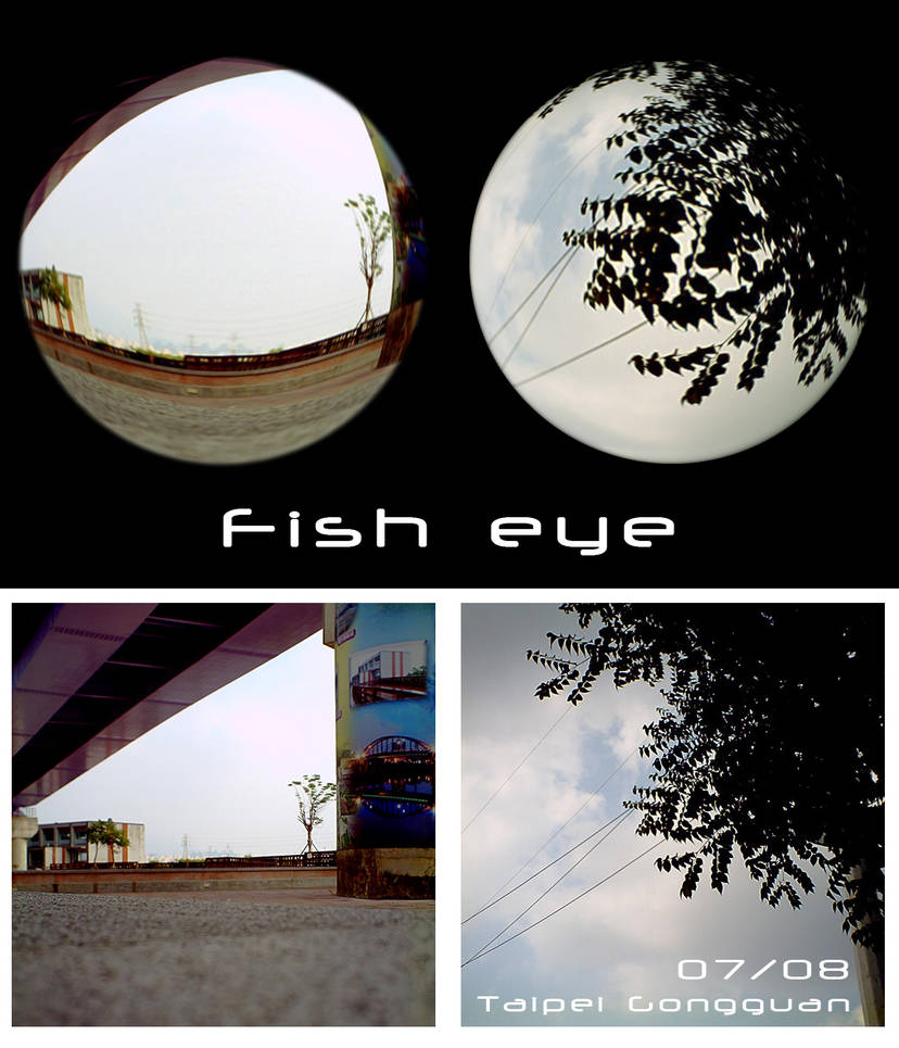Lomo_fisheye by zin29 on DeviantArt