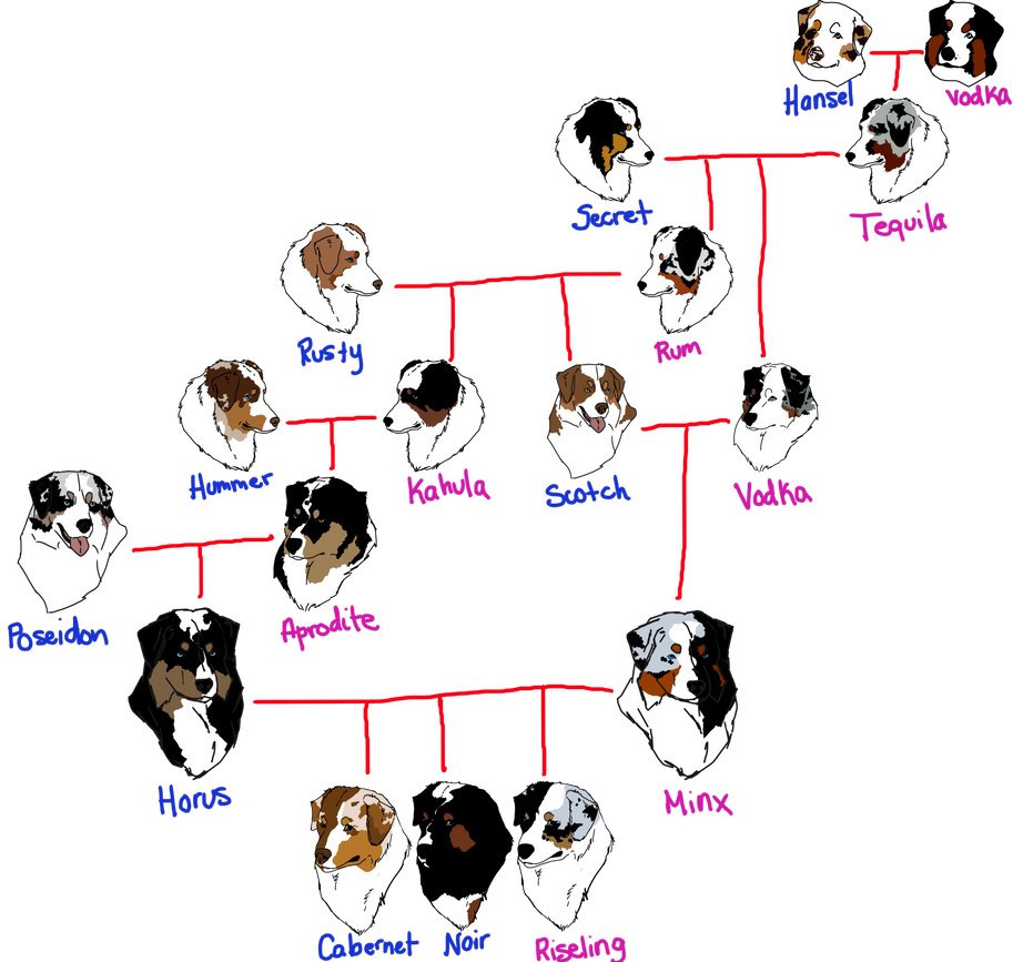 Visual Pedigree - COMPLETED by TheHazelnator on DeviantArt