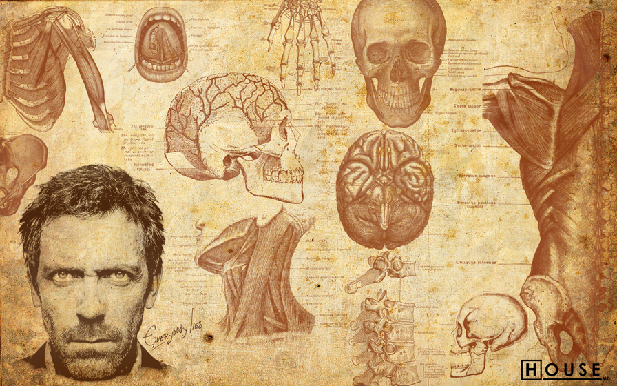 House Anatomy Wallpaper