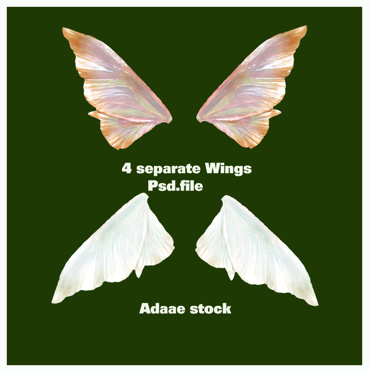 Wings by Adaae-stock on DeviantArt Wings by Adaae-stock on DeviantArt