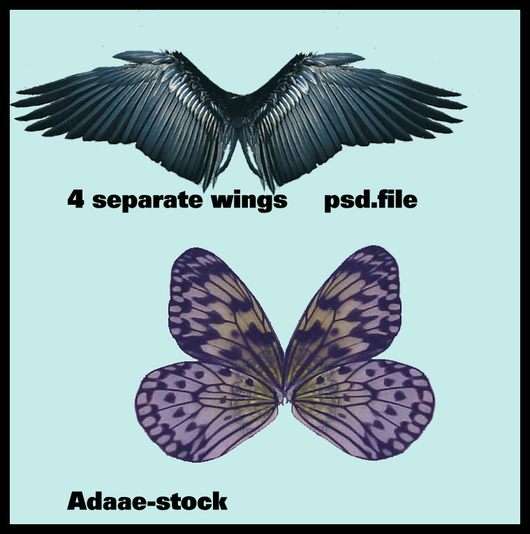 Wings 4 by Adaae-stock on DeviantArt Wings 4 by Adaae-stock on DeviantArt