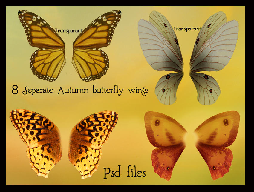 psd autumn butterfly wings set by Adaae-stock on DeviantArt psd autumn butterfly wings set by Adaae-stock on DeviantArt