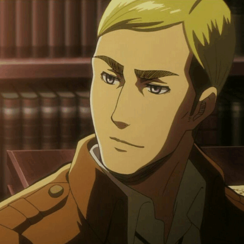 Erwin x Reader on AOTGuysXReader - DeviantArt