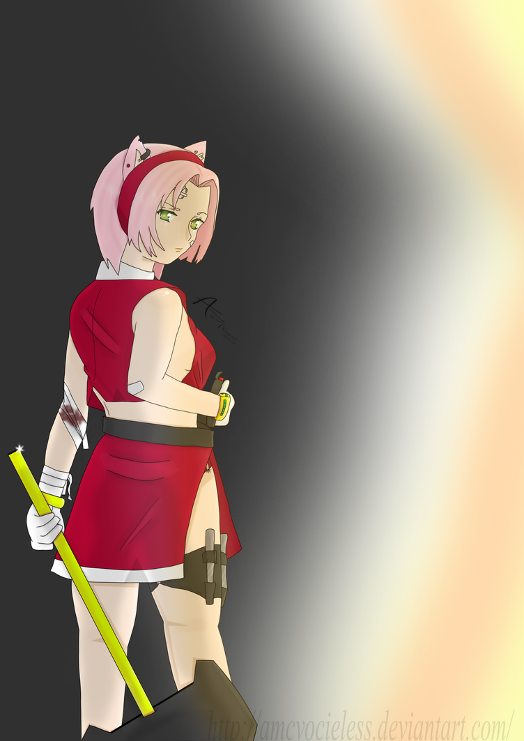 Amy rose freedom fighter by AMCVocieless on DeviantArt