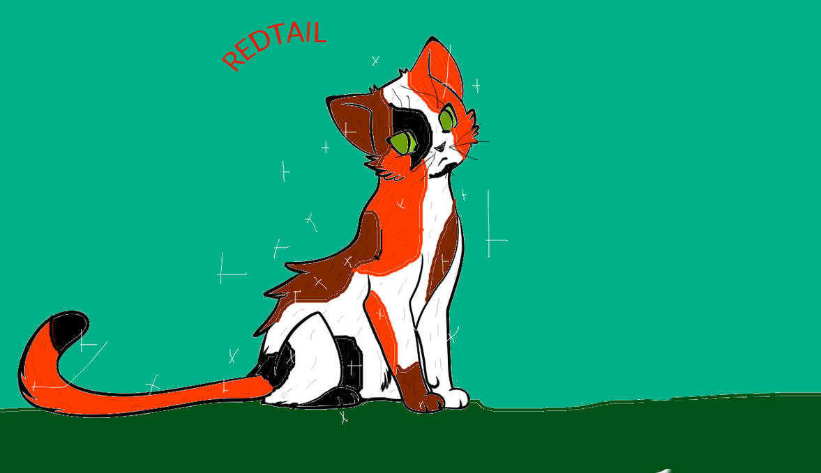 REDTAIL! by WarriorcatiU on DeviantArt