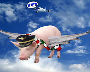 Explore the Best Flyingpigs Art | DeviantArt