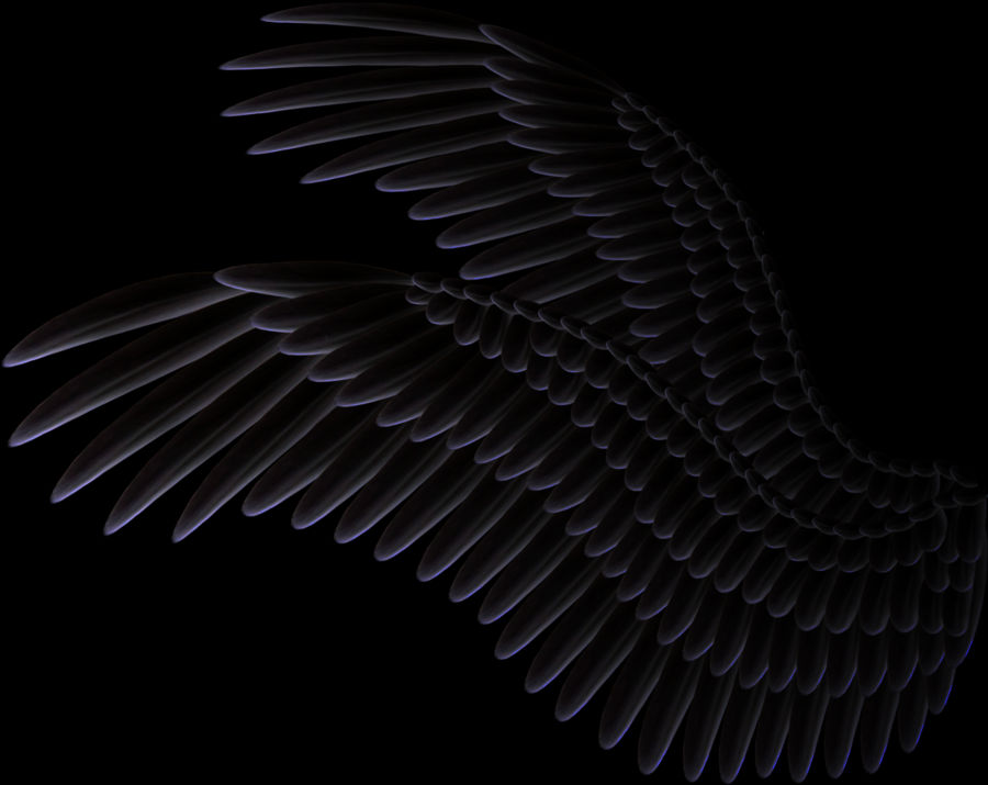 black wings chapter 6 by Skibble1994 on DeviantArt