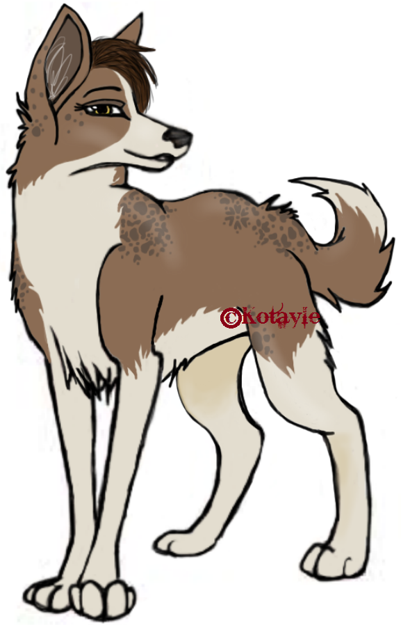 Bella the dog by Kotayle on DeviantArt