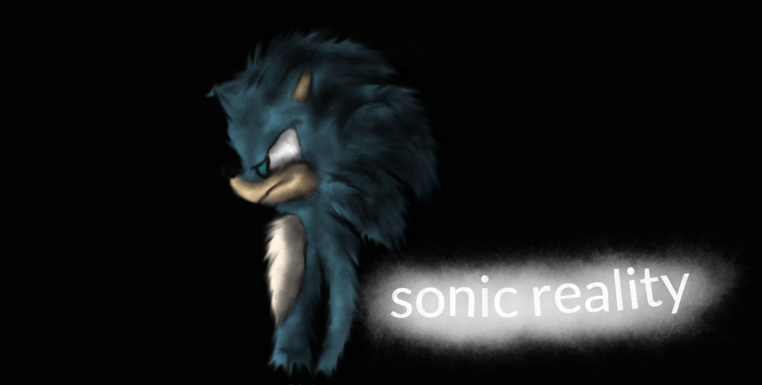 sonic reality fanart by lilzoneart94 on DeviantArt