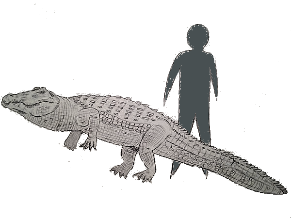 Editing test, Monster Island caiman by Trendorman on DeviantArt