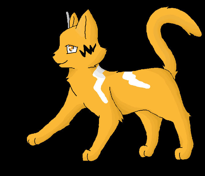 Denki Kaminari kitteh by Yarori-Misheru on DeviantArt