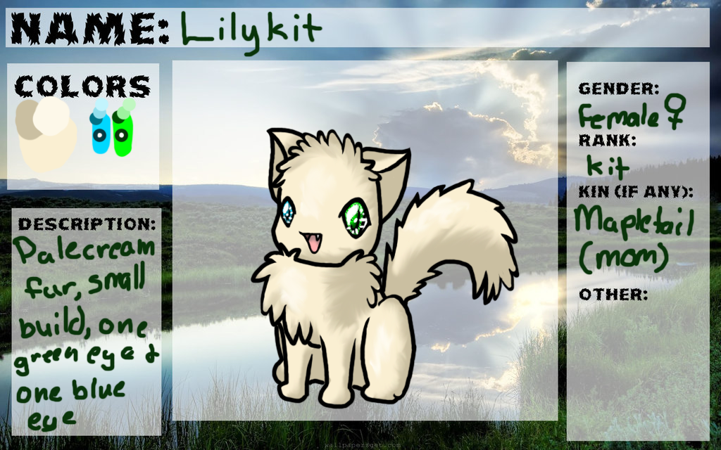 Lilykit by FluffballChikorita on DeviantArt