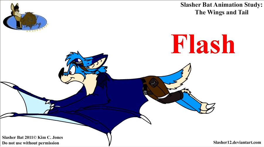 Slasher Wings and Tail Study by Slasher12 on DeviantArt