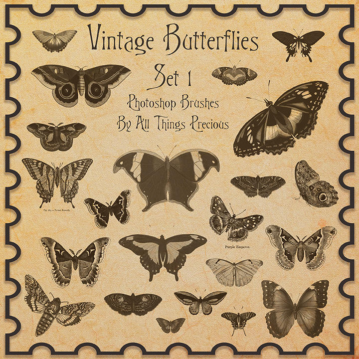 Vintage Butterflies SET 1 Brushes by ATPTextures on DeviantArt